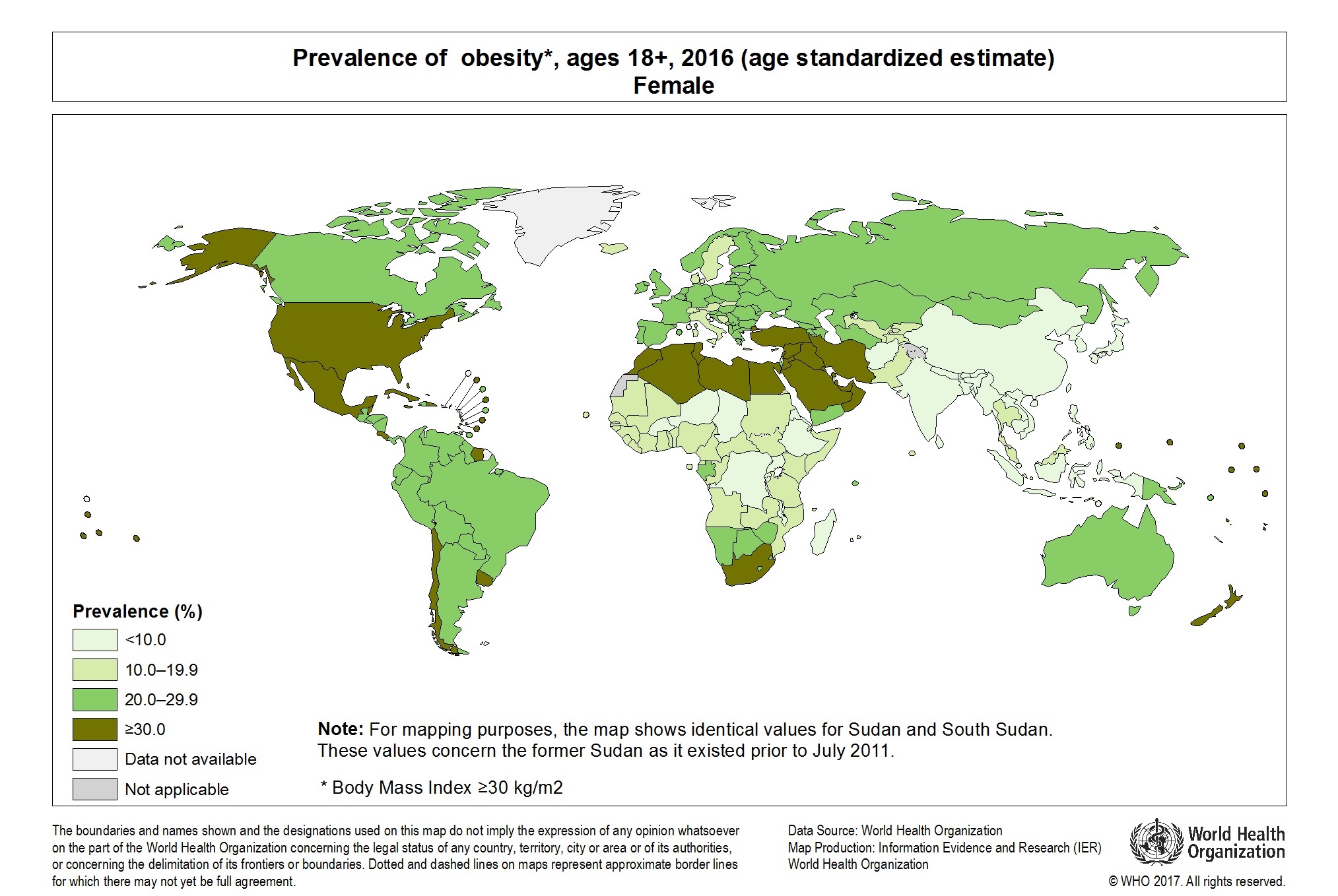 Obesity: An Overview – Stina Börchers